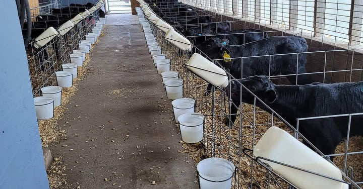 Farm-Duty Calf Bottle Holders